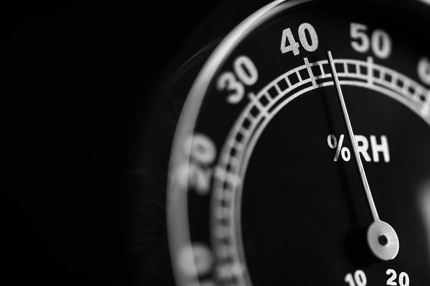 Umidità Ideale in Casa: qual è? E come ottenerla? | GuidaEdilizia