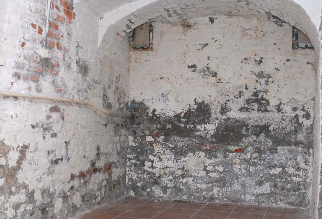 Eliminare odore di muffa in cantina: ecco come puoi fare | GuidaEdilizia