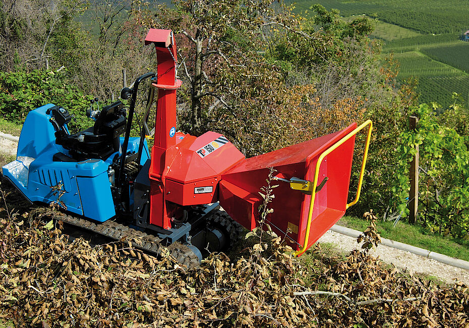 Cippatrice - Geier | GUIDA EDILIZIA